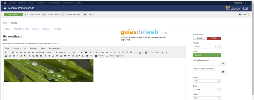 ?Cómo insertar una imagen con el módulo imagen en Joomla